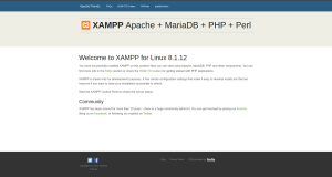 Como instalar o Xampp no Linux (Ubuntu) - WildArte